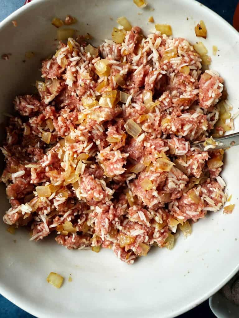 Polish Cabbage Rolls (Golabki or Halupki) - Eating European